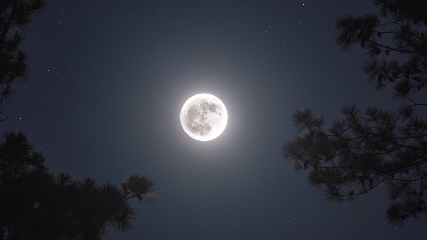 Rami Astro's Official Website