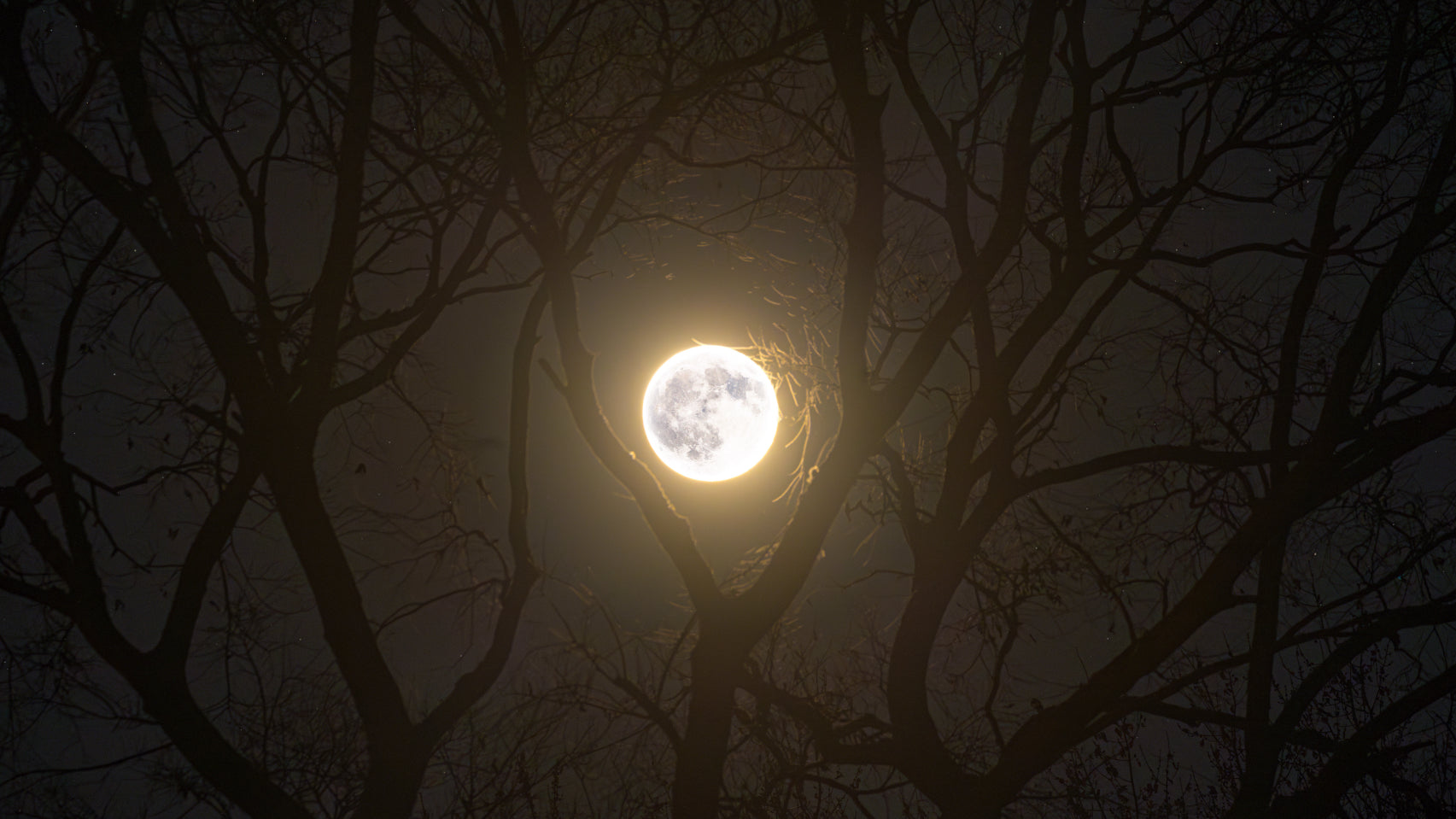 Rami Astro's Official Website